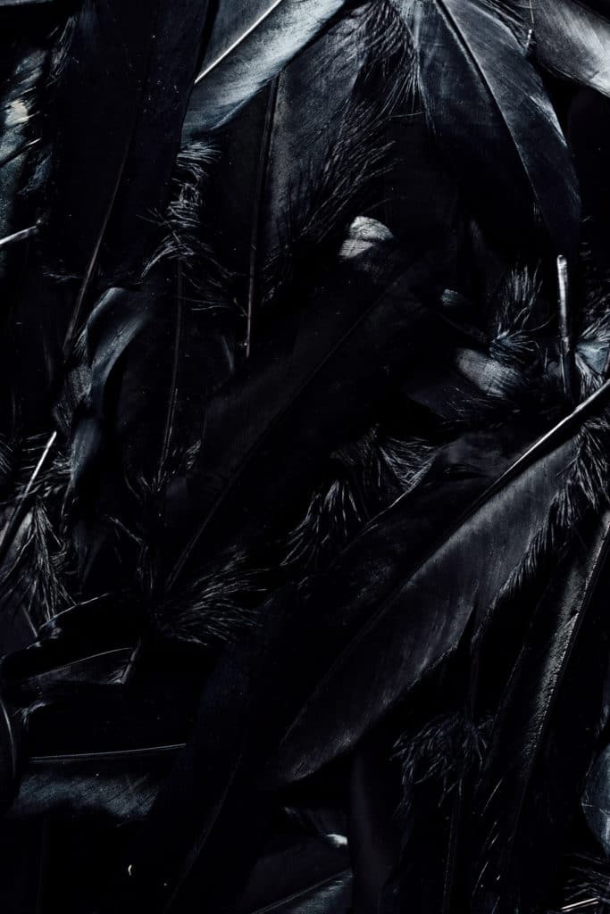 Comet Hailey’s Comeback – Zeen Science